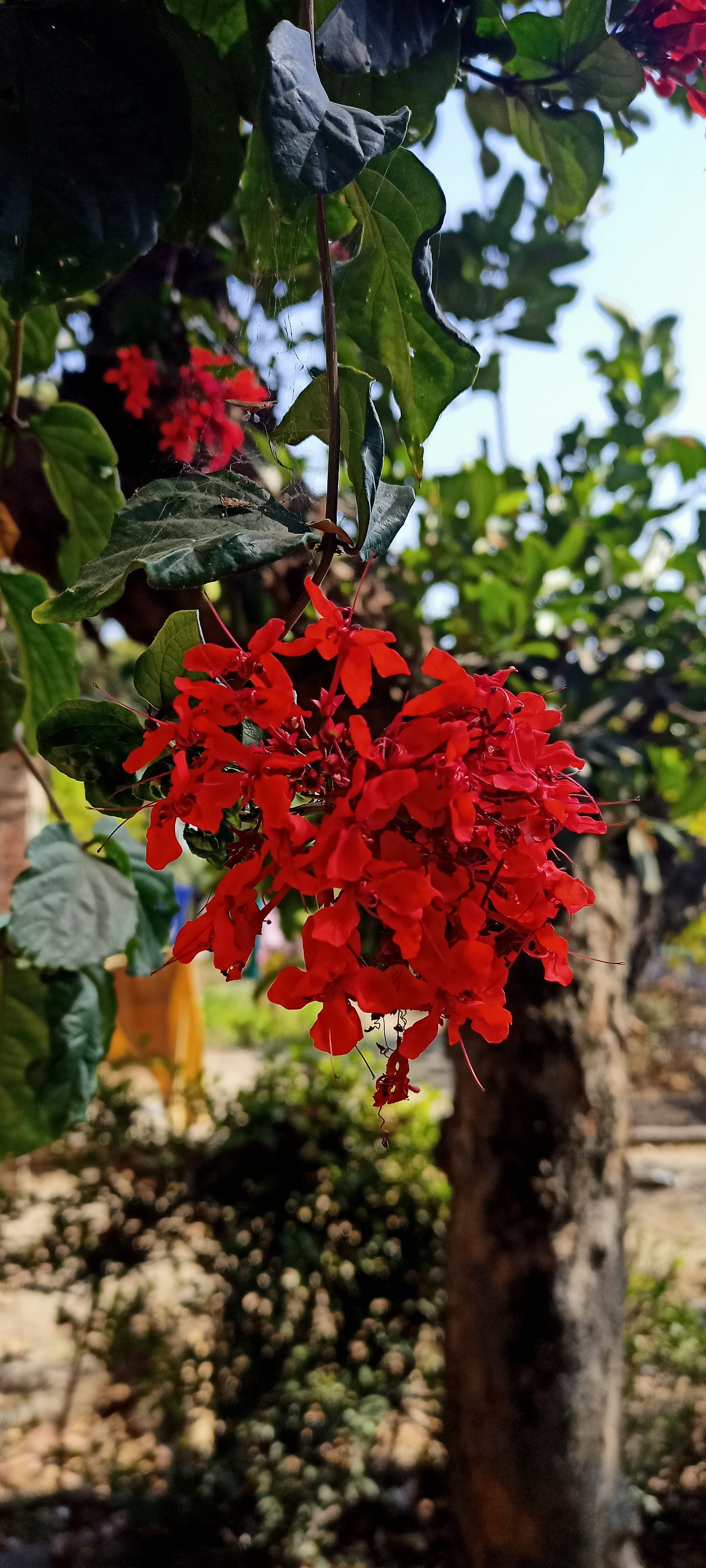 NATURE.. प्रकृति। | by Ankit Vatsa | Medium