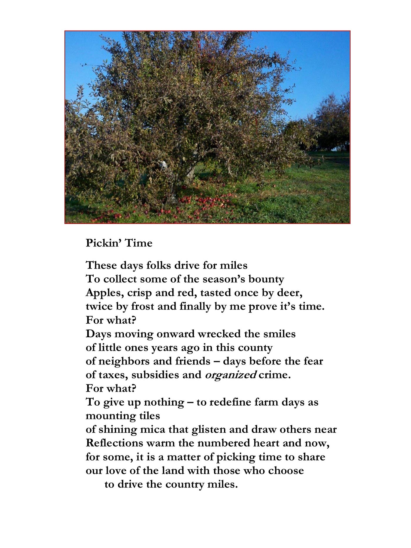 Writing the Countryside. writing inspiration and selection | by Amanda ...