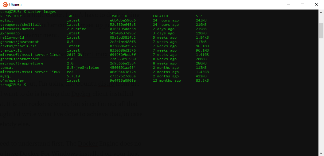 Installing the Docker client on Windows Subsystem for Linux (Ubuntu) | by sebastian gomez | Medium