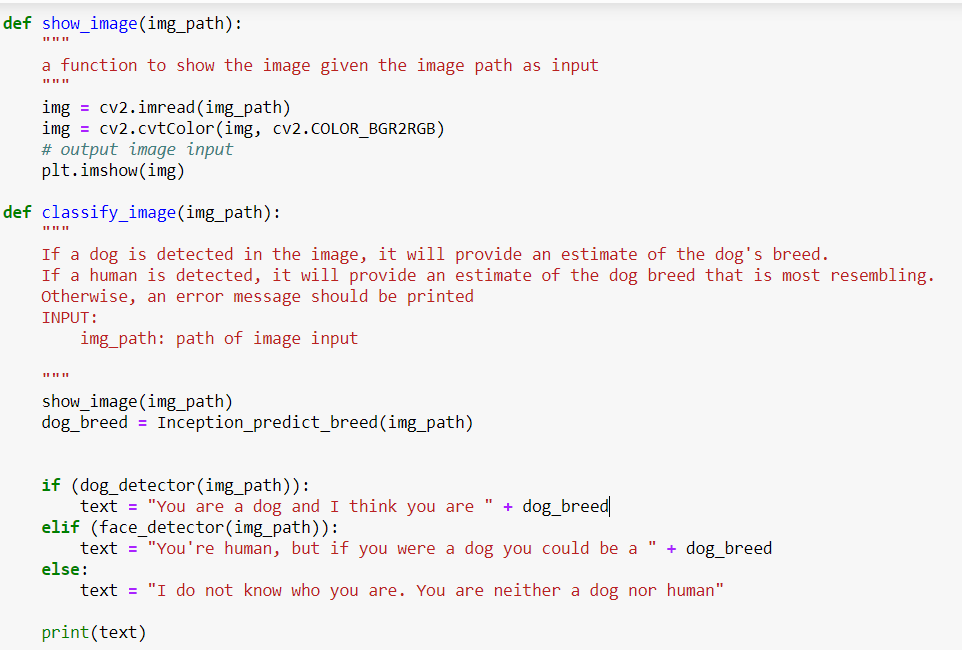 Classifying Dog Breeds using Transfer Learning | by Ahmed Lotfy | Medium