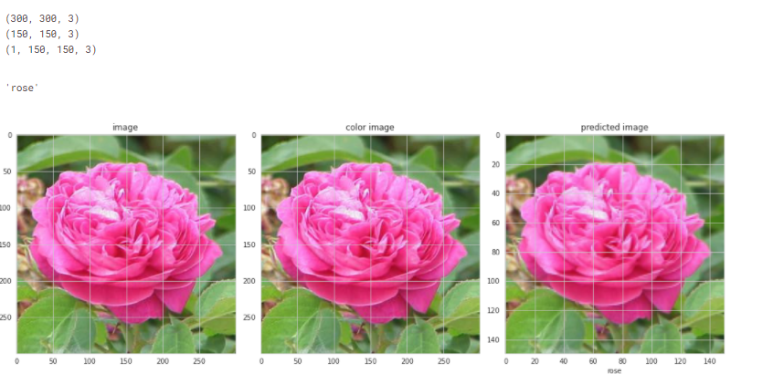 Flower Image Classifier Using Neural Networks | by Maharsh Patel | Mar ...