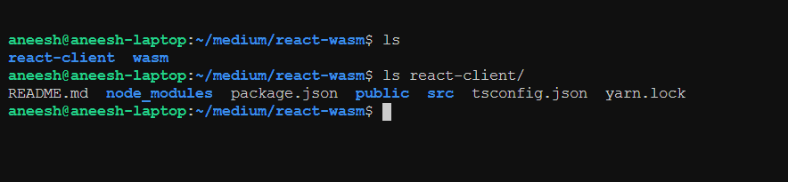 Intro to Webassembly in React With Rust | by Aneesh Saripalli | The ...