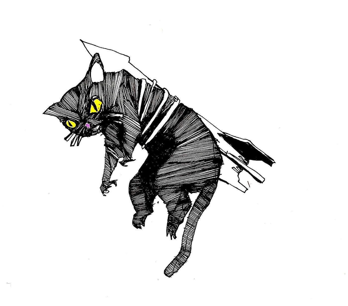 German Rocket Cats. This piece was originally published by… | by Zak ...