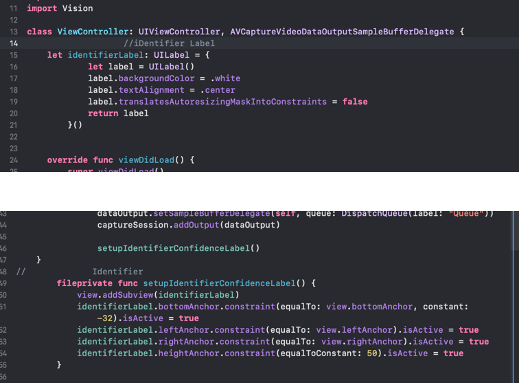Camera Recogniser with CoreML Model | by Gianluca Developer | Medium