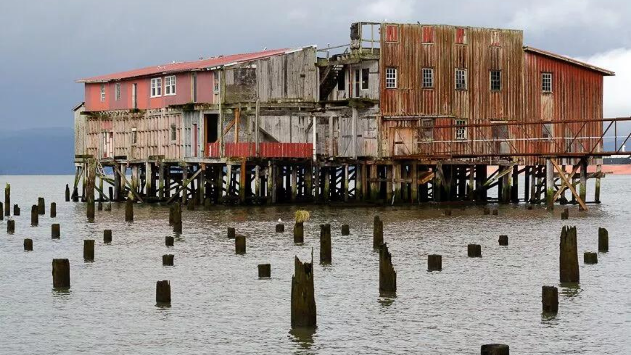 Photography 101 — Understanding Exposure | by SUMIT SHARMA | Geek ...