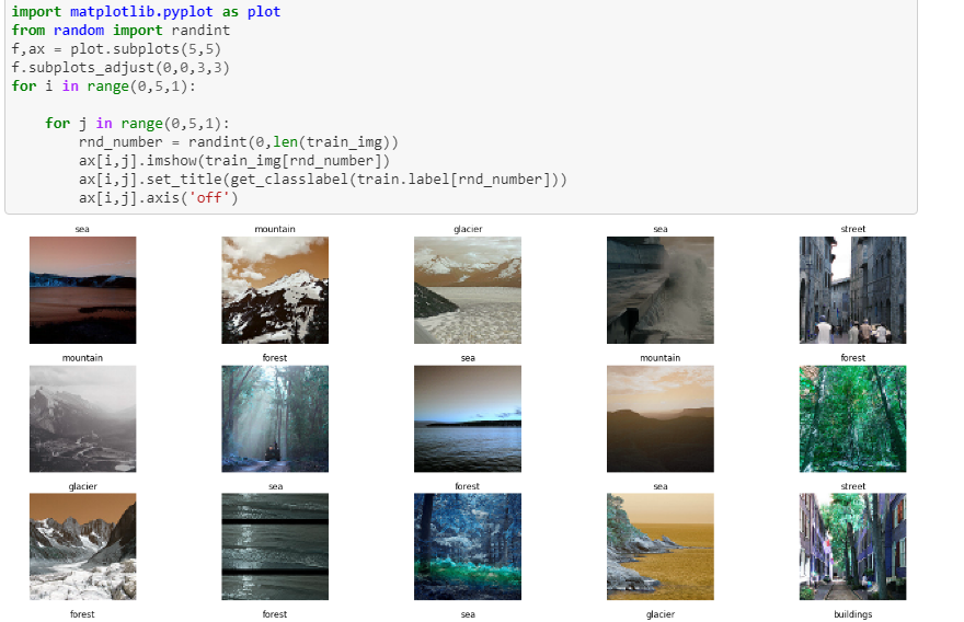 Build your First Multi-Label Image Classification Model with Neural ...