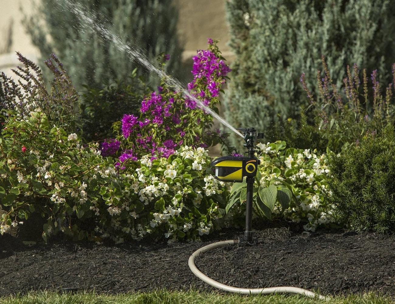 🍀 Live a Green Life With These 11 Smart Gardening Tools | by Gadget ...