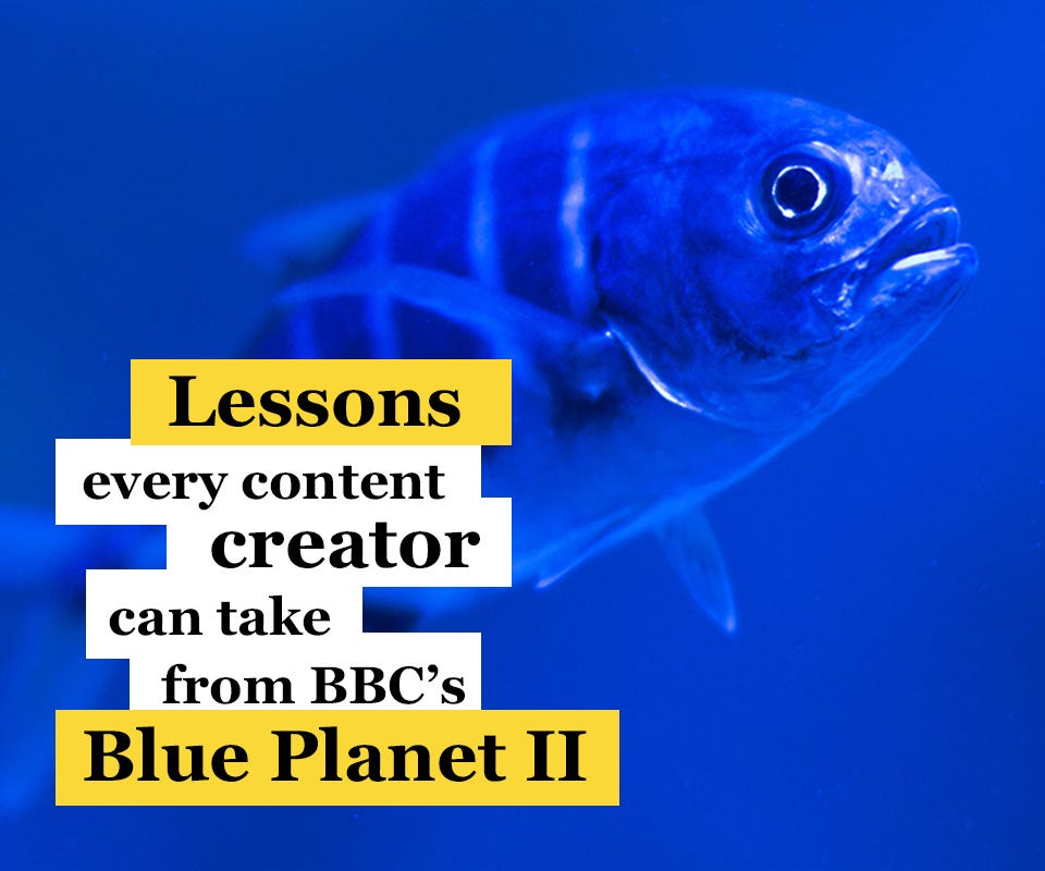 Lessons every content creator can take from BBC’s Blue Planet 2 | by ...