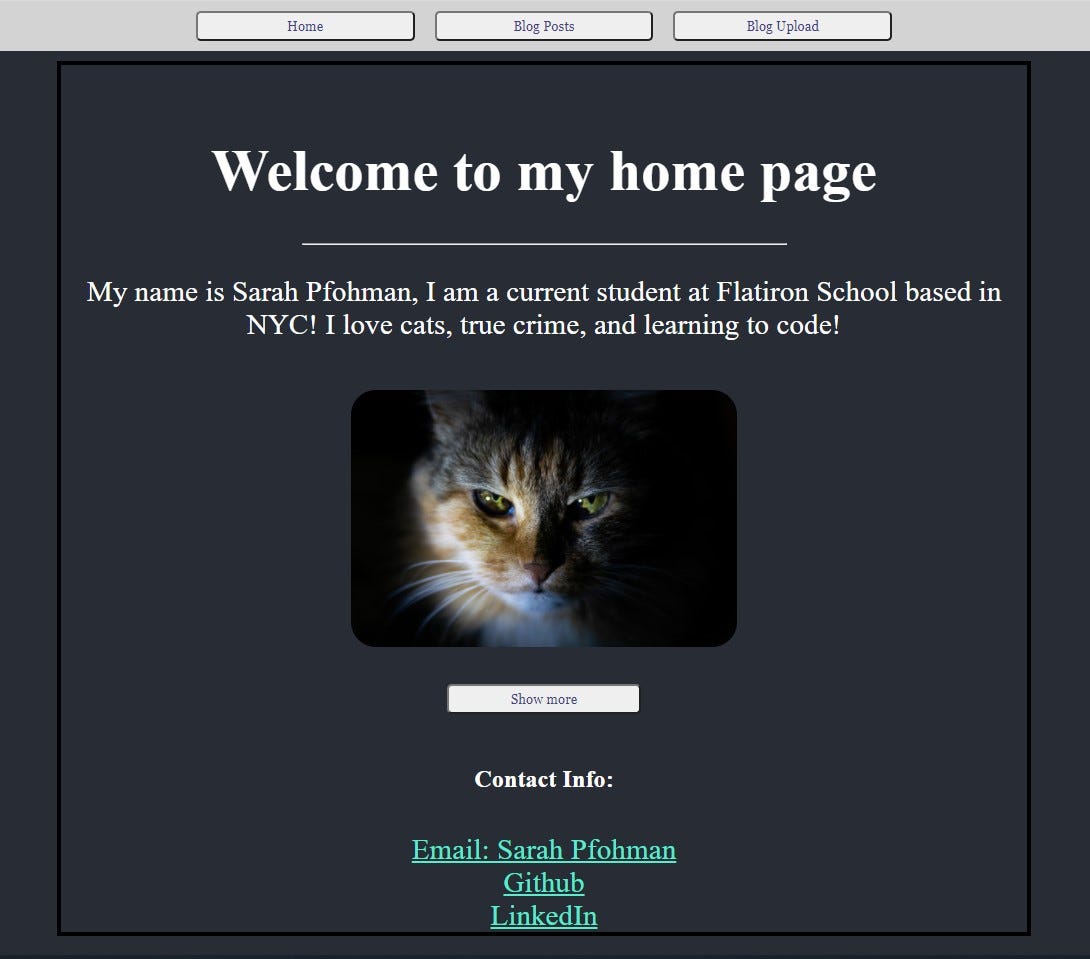 React App Build. Its true, I have a mild obsession with… | by Sarah ...