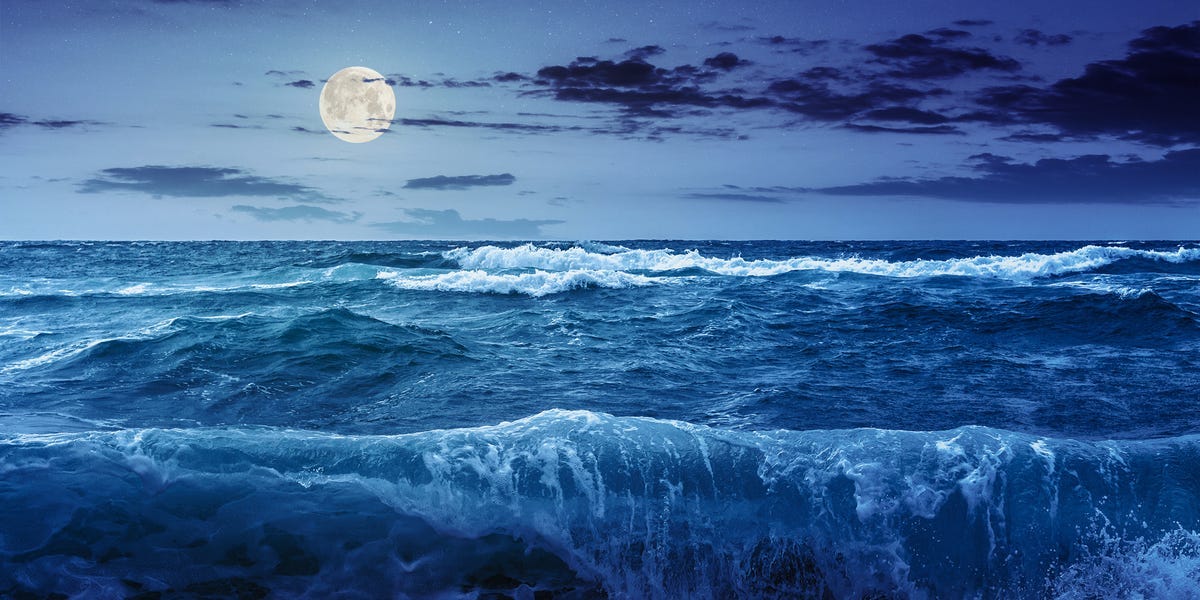 How the Tides Dance to the Moon’s Embrace | by Michael Franzblau PhD ...