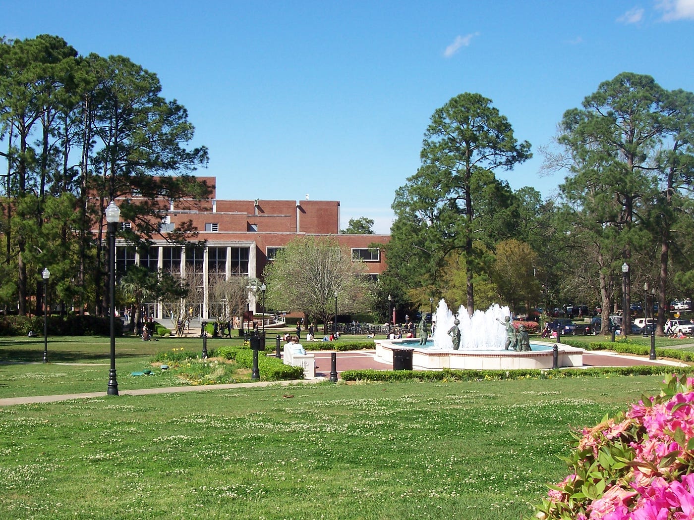 Top 5 Places to Take Your Dog at FSU | by Jade Hartwell | Noles For ...