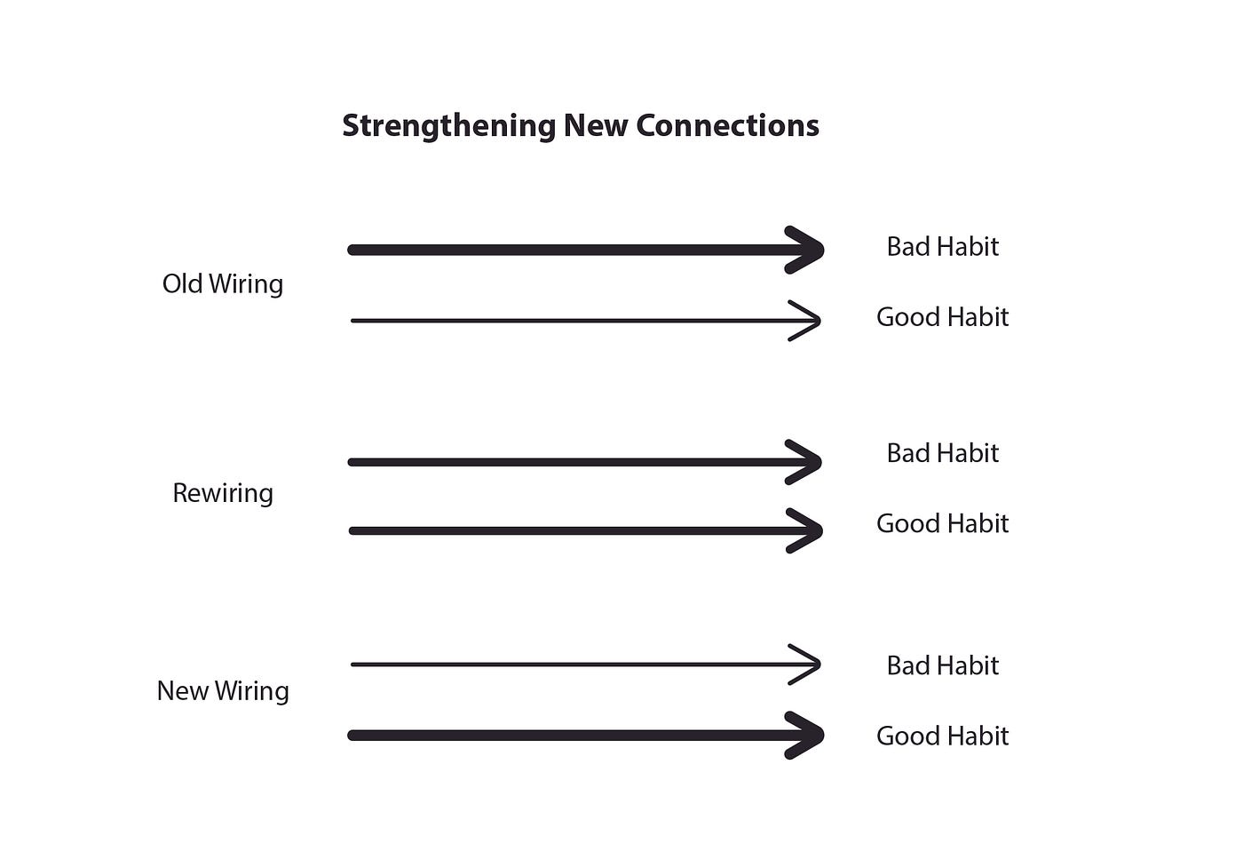 The Key to Rewiring Your Mind — Neuroplasticity | by Brandon Gustafson ...