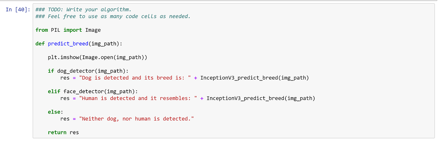Dog Breed Classification using CNN | by Ilaha Manafova | Medium