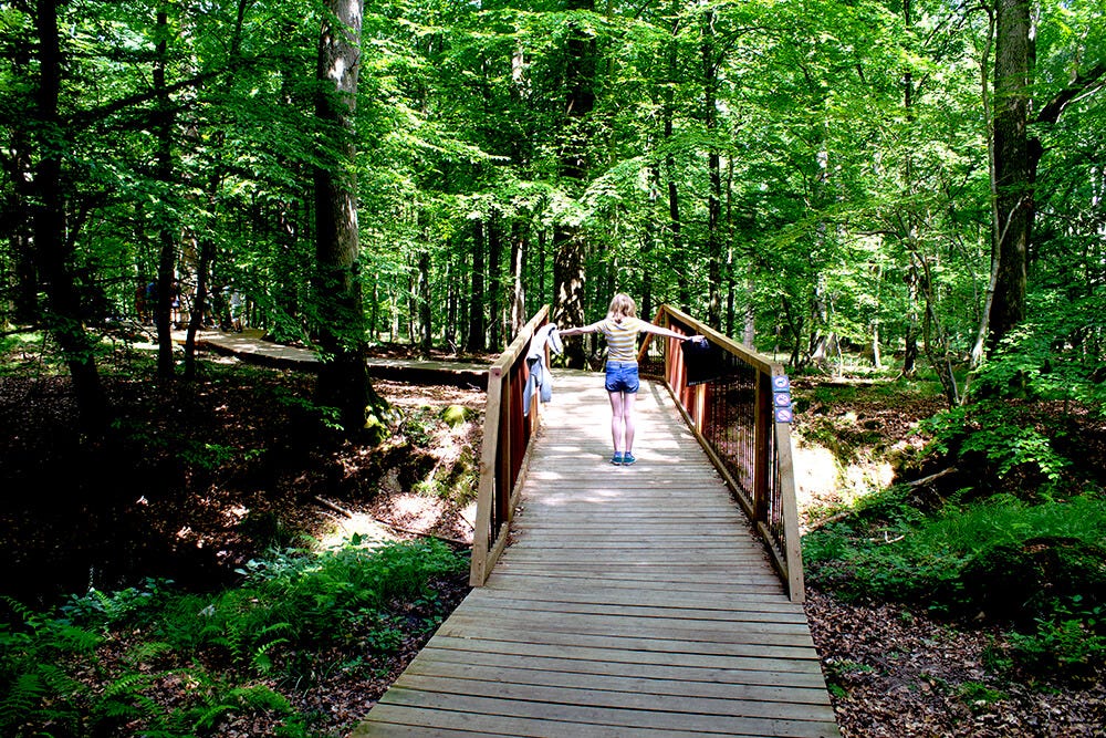Forest Tower In Camp Adventure, Denmark | by Minimize and Travel | Medium