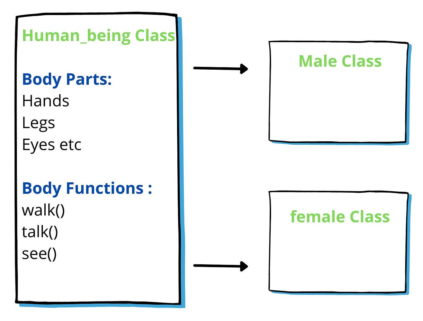Object Oriented Programing Basic Concepts In Object Oriented… By