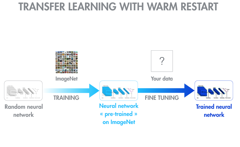 Transfer Learning to solve a Classification Problem | by Anand ...
