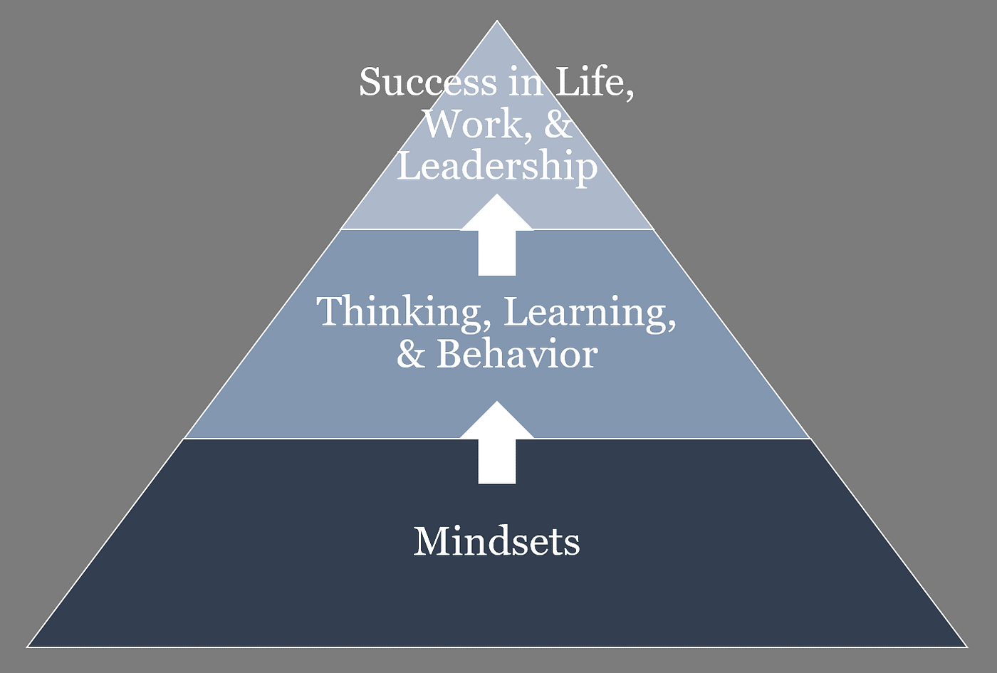 Unlock the Mindsets that Drive Success in Life, Work, & Leadership | by Ryan Gottfredson | Medium