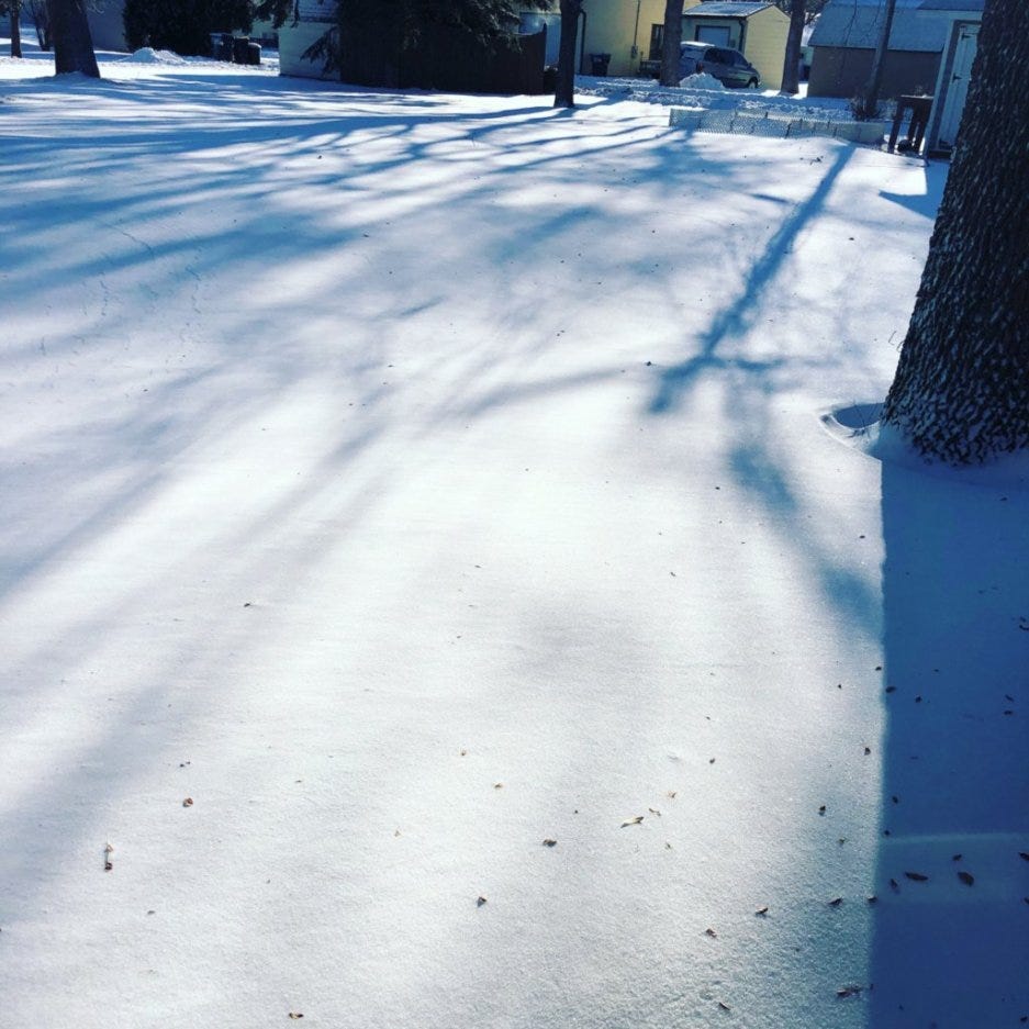 A Clean Sheet of Snow. December Six Word Photo Story… | by Ellie ...