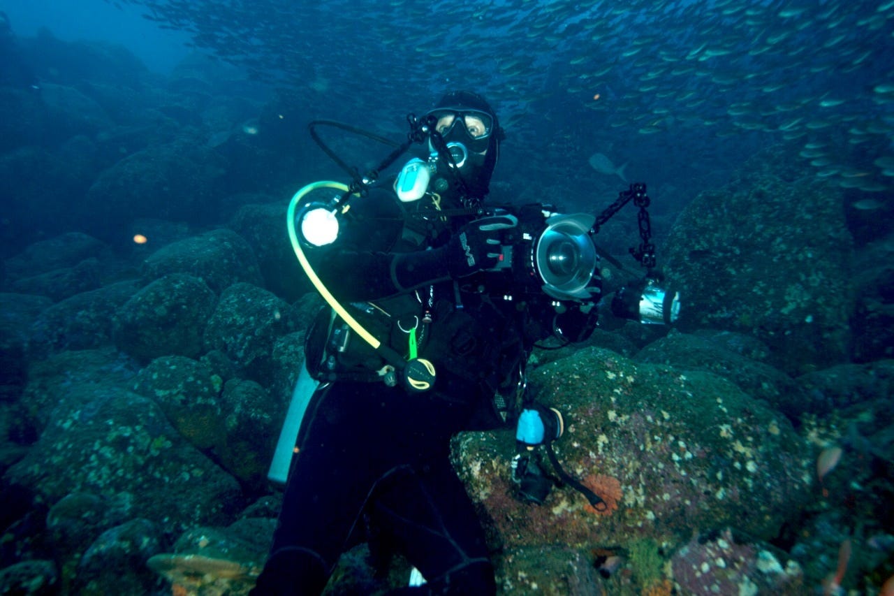 El Mundo Submarino es la línea que nos une con Michel Guerrero | by ...