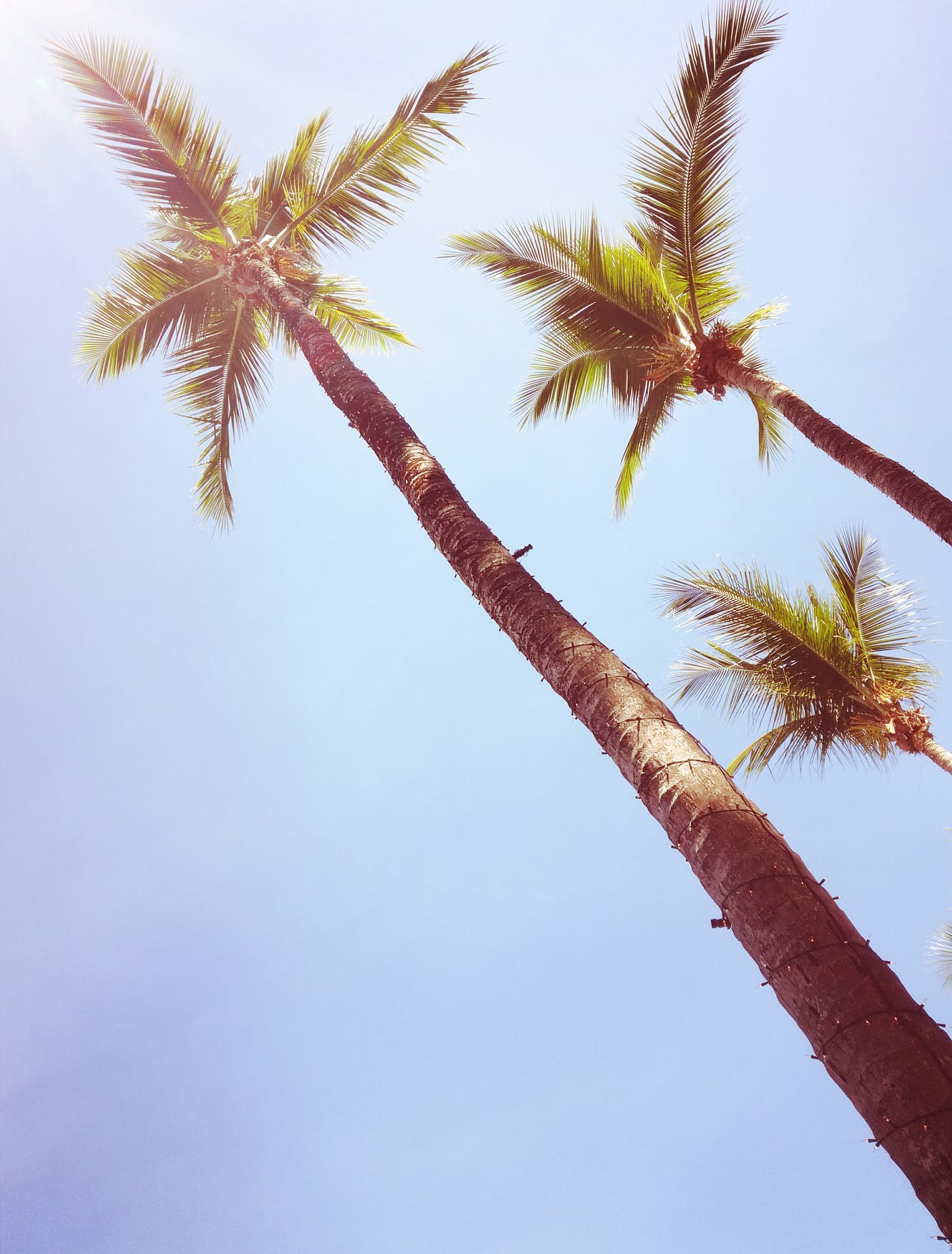 Josué Esquivel Retana – Medium