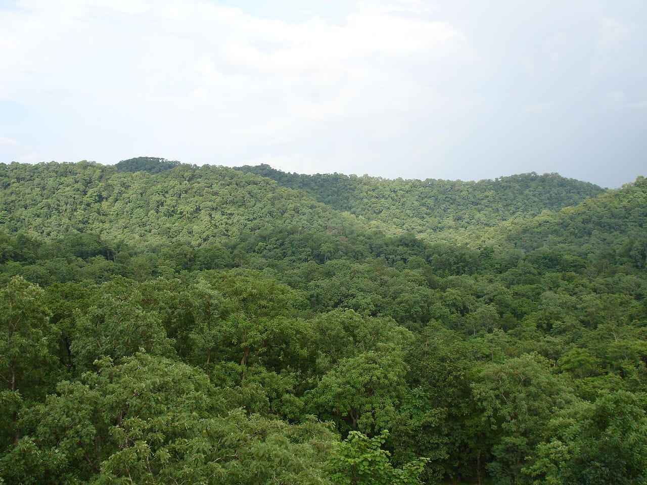 Exploring the Maikal Mountains in Chattisgarh | by Savaari Car Rentals ...
