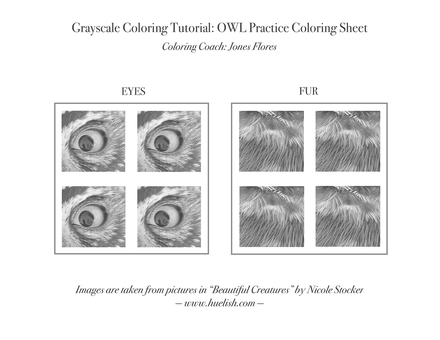A Downloadable Guide for Coloring Grayscale Eyes & Feathers | by Nicole ...