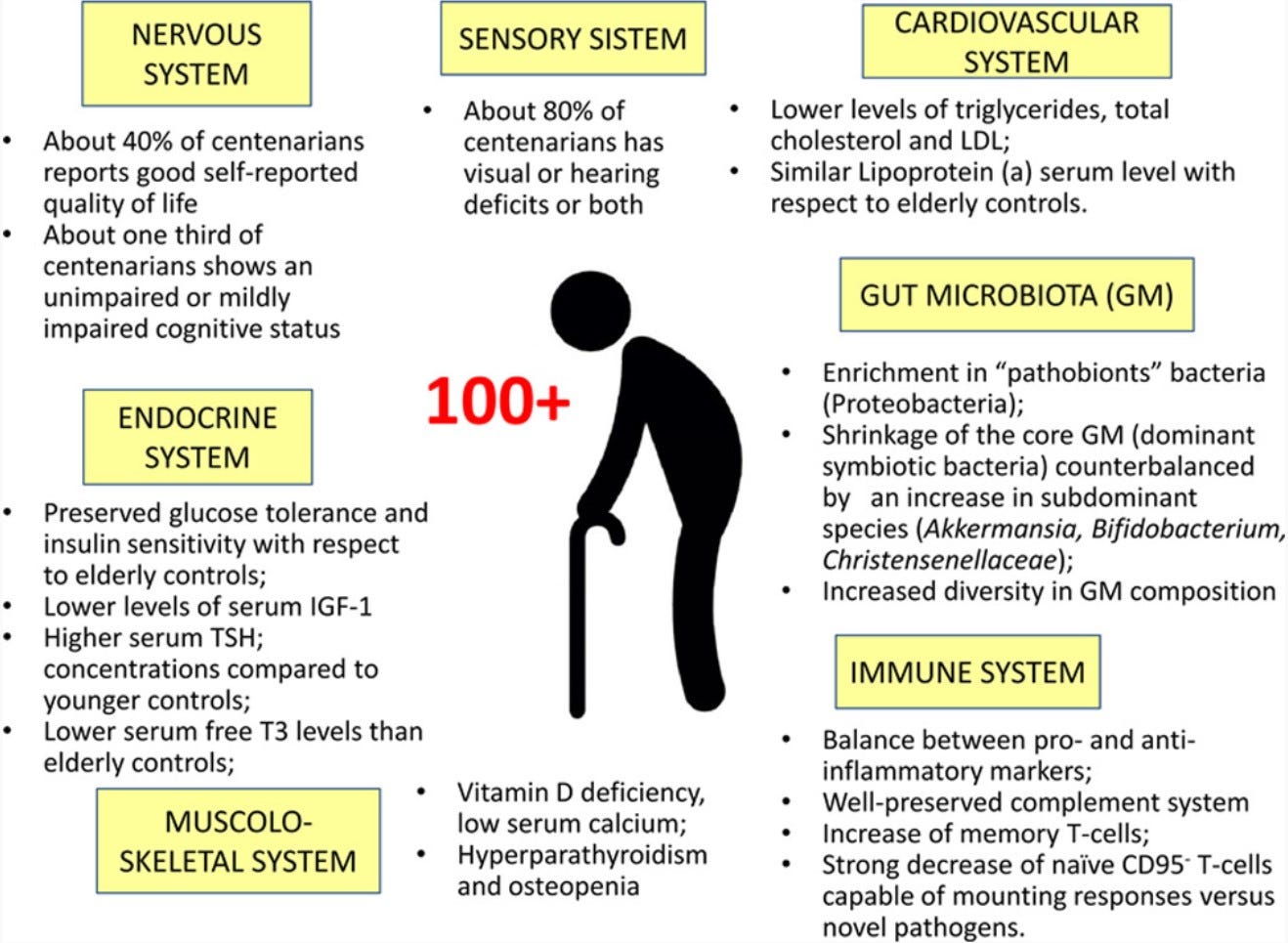 Longevity Genes and Phenotypes. This is one of three articles on… | by ...
