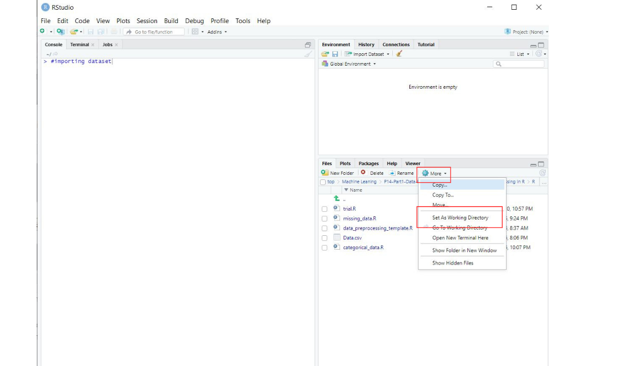 Chapter 2 : Data Preprocessing in Python and R (Part 01) | by Yashithi ...