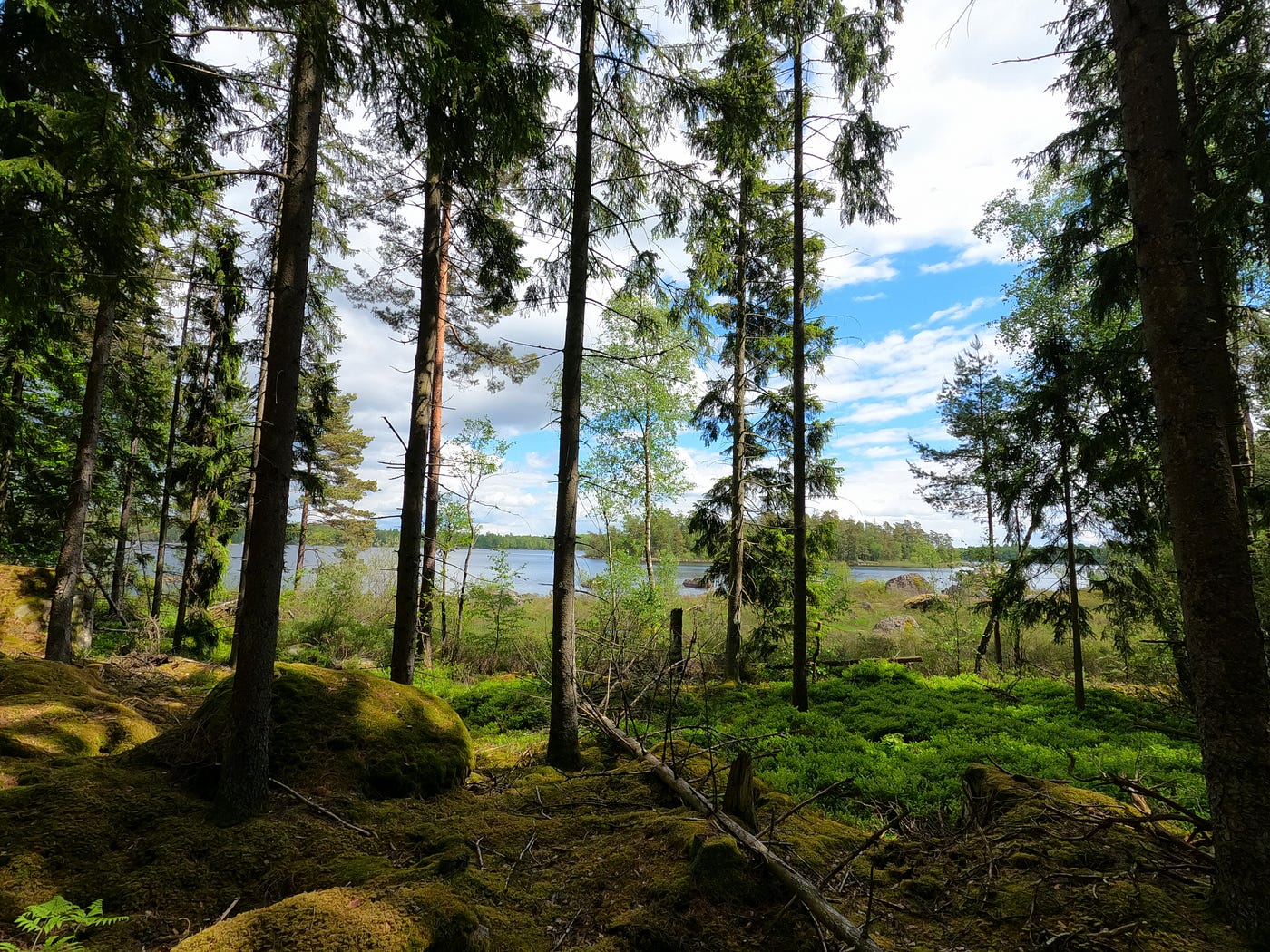 Hiking Through Sweden’s Wilderness | by Anne Bonfert | Globetrotters ...