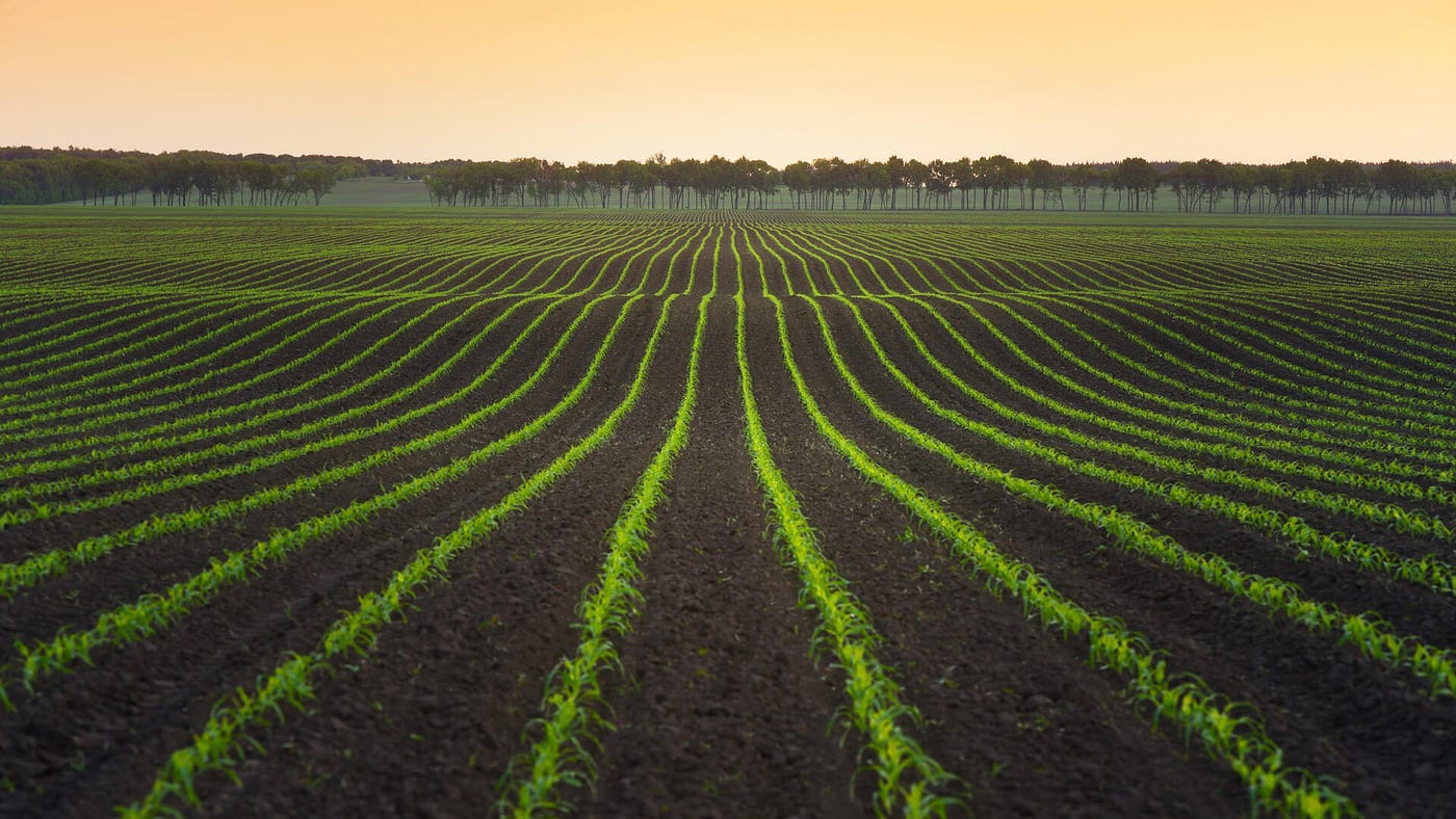 Plant-Based Production is Transforming the Face of FoodTech and Here’s ...