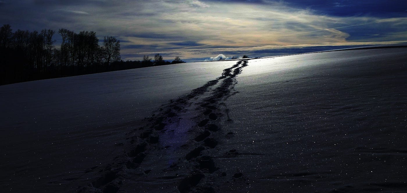 Cold Rainbow. Fresh blood drops on pristine snow. A… | by Peculiar ...