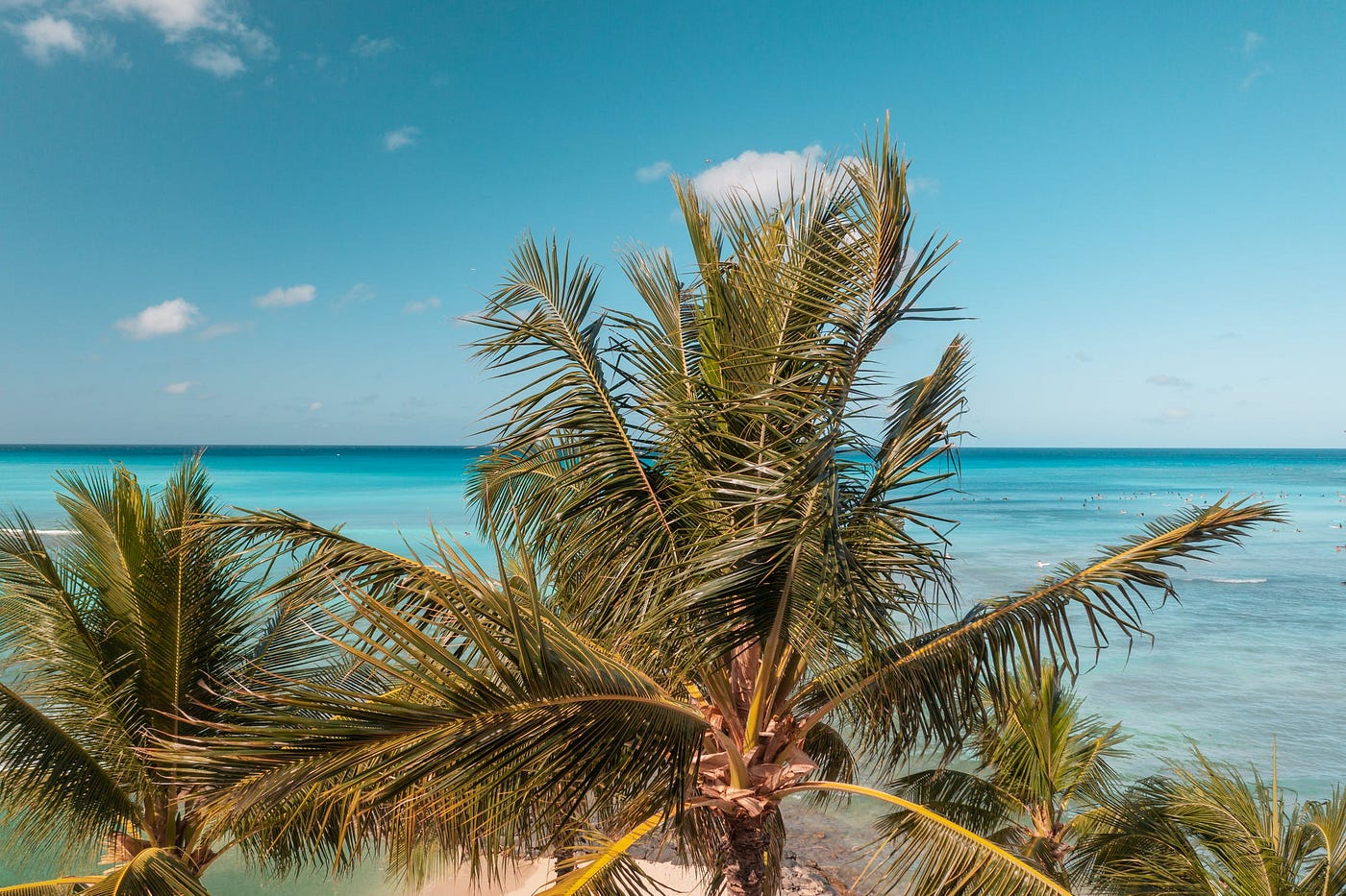 What Are the Best Beaches in the Upper Florida Keys? | by Christina ...