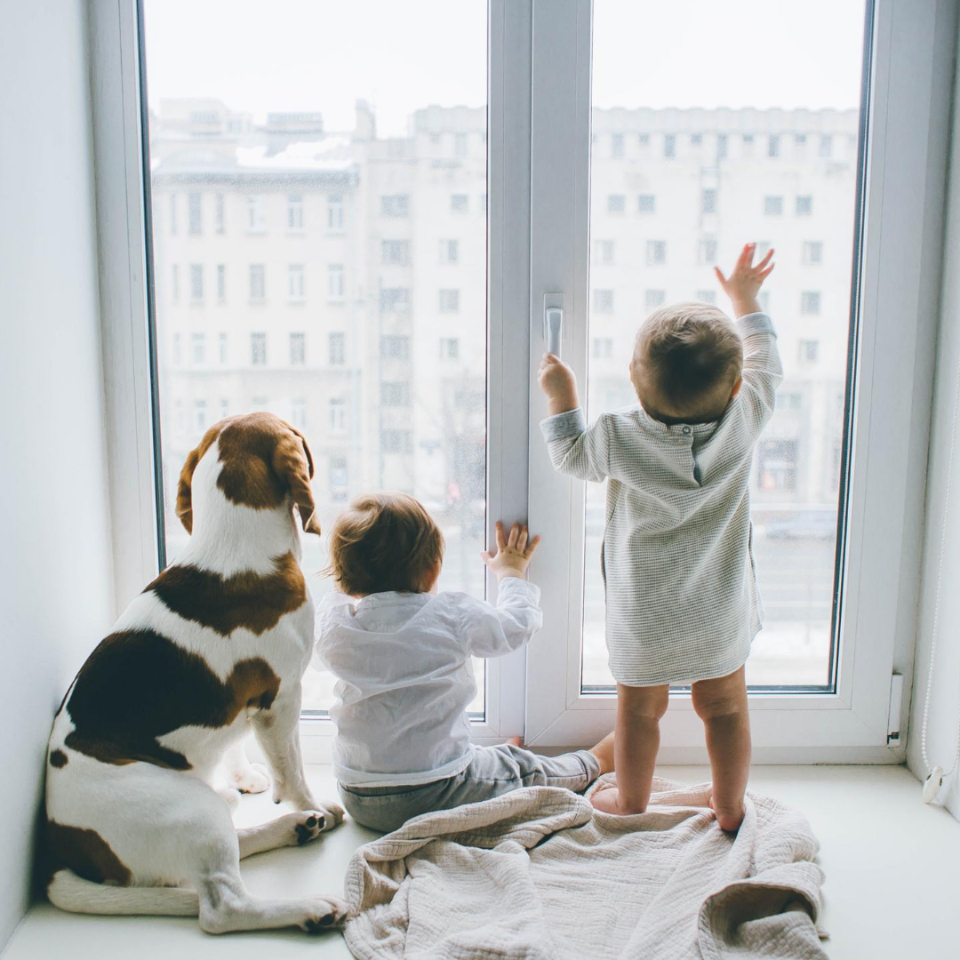 Tap into beautiful window footage views across the world..! | by The ...