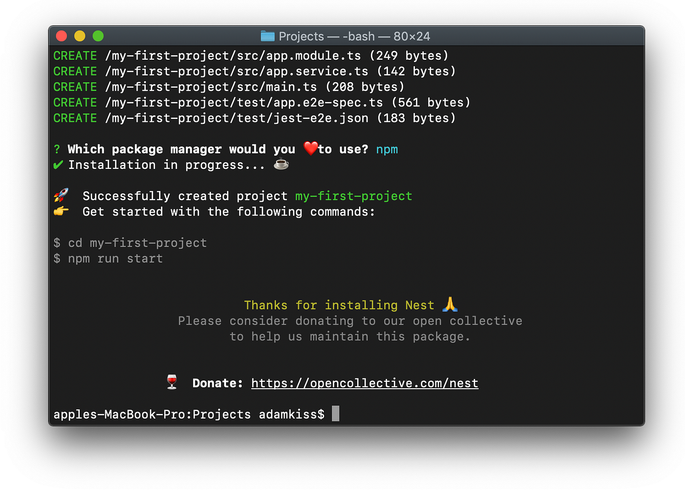 Exploring NestJS — Installing NestJS and getting started | by Adam Kiss ... Exploring NestJS — Installing NestJS and getting started | by Adam Kiss ...