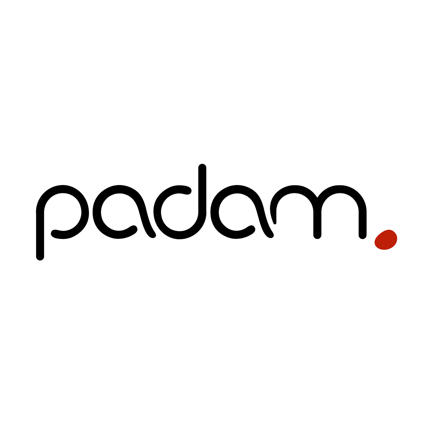 Why we built PADAM; yet another WiFi speaker | by Cyril Labidi | Medium