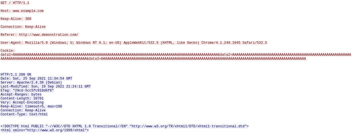 Testing github DDoS Tools: #8: pyloris | by dercraig | Medium