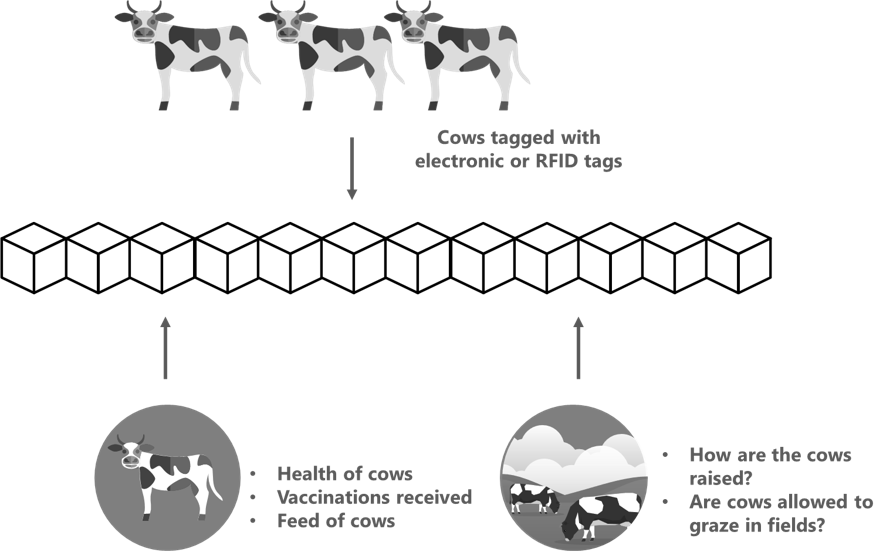Blockchain applications in Dairy Industry (Part 28) | by Techskill Brew ...