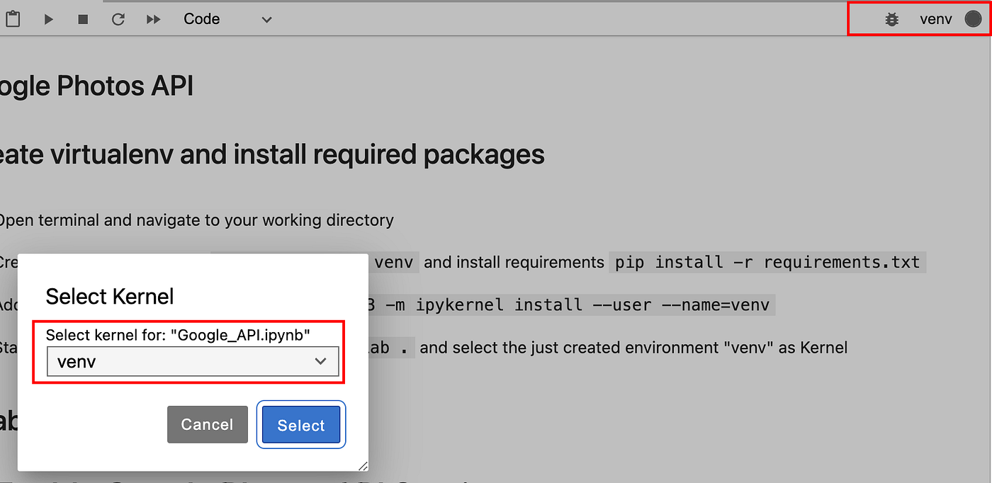 How to Download Images from Google Photos using Python and Photos Library API | by Dominik ...