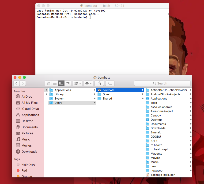 9 easy mac Terminal commands — Beginners | by bombata habeeb | Medium