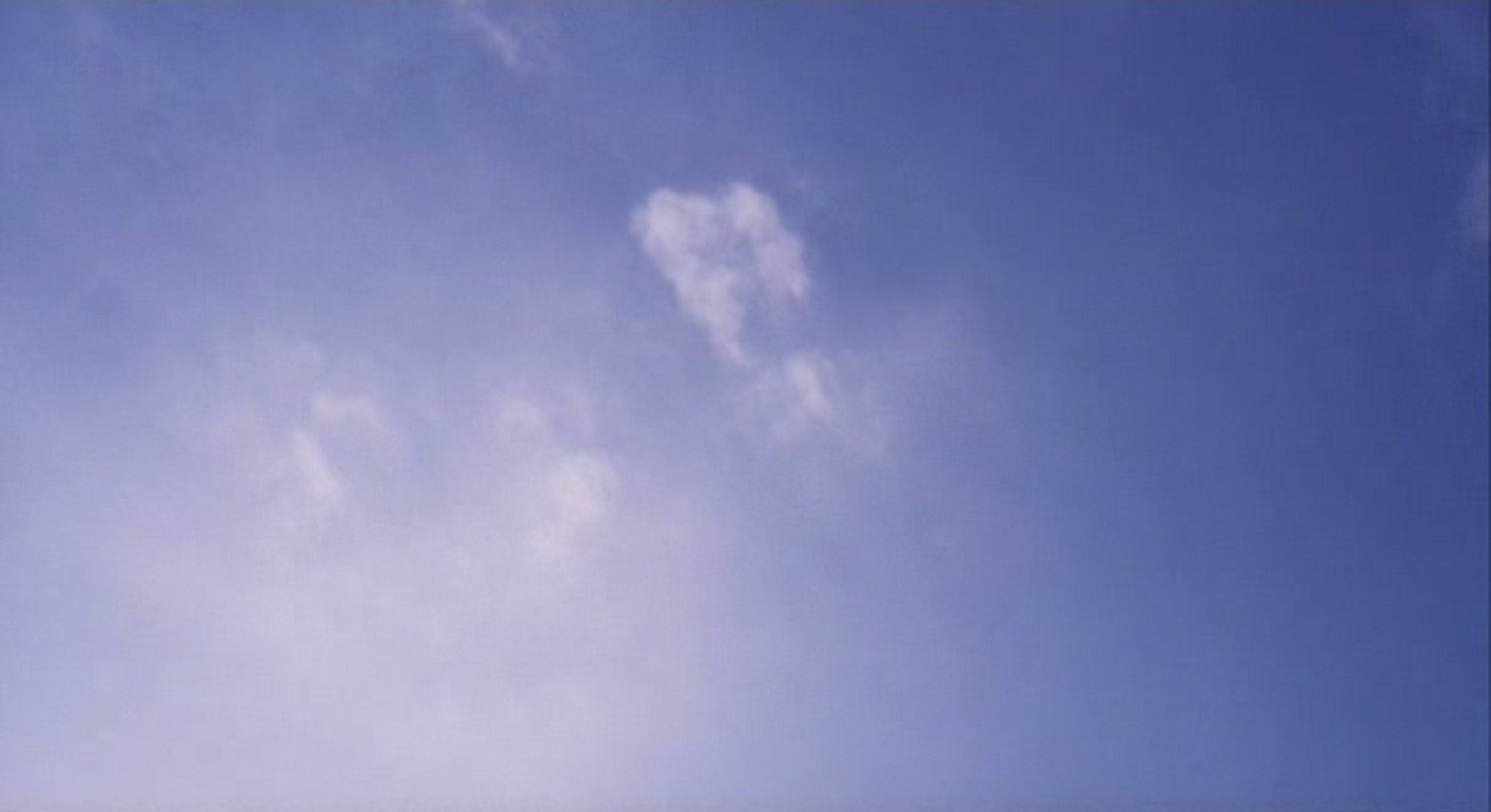 Lee Chang-dong’s “Oasis” (2002). A selection of shots from Lee… | by ...