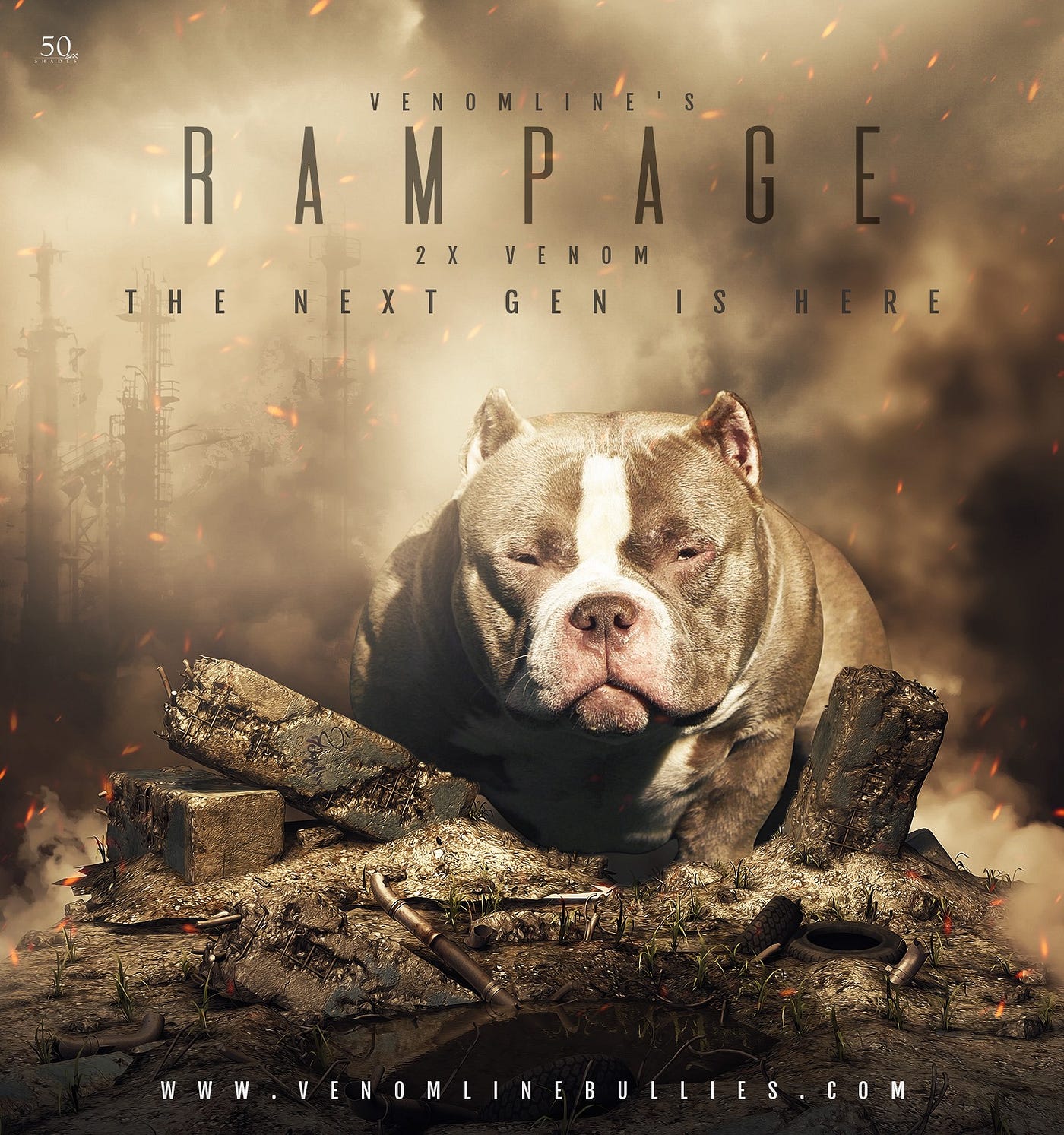BEST UP & COMING EXTREME POCKET BULLY STUD | VENOMLINE’S RAMPAGE | by ...