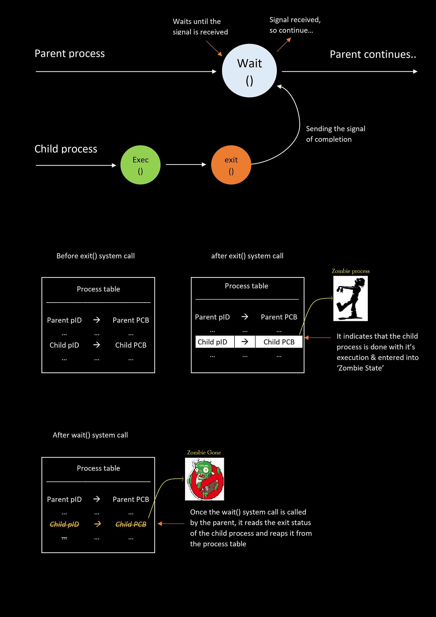 Zombie vs. Orphan Processes…. Explore & learn | by Akshat A. Mistry | Medium