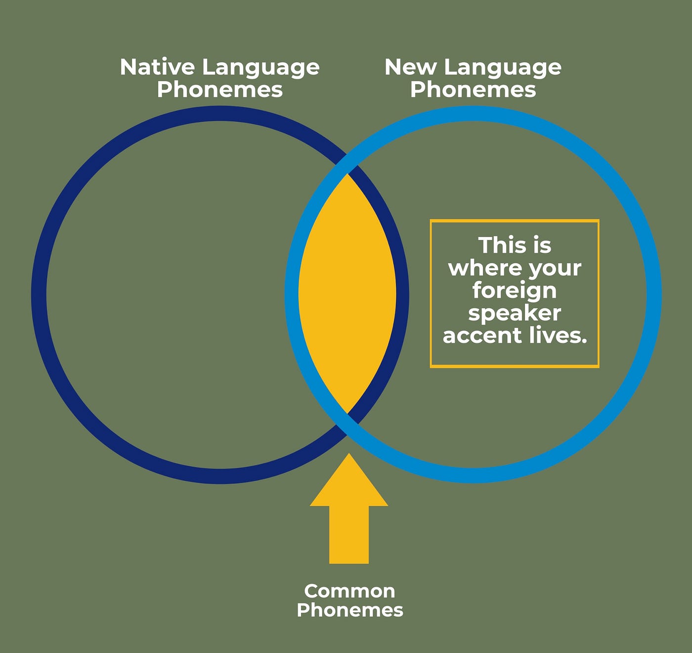 Why do we have accents when we learn new languages? | by nootrl ept ...