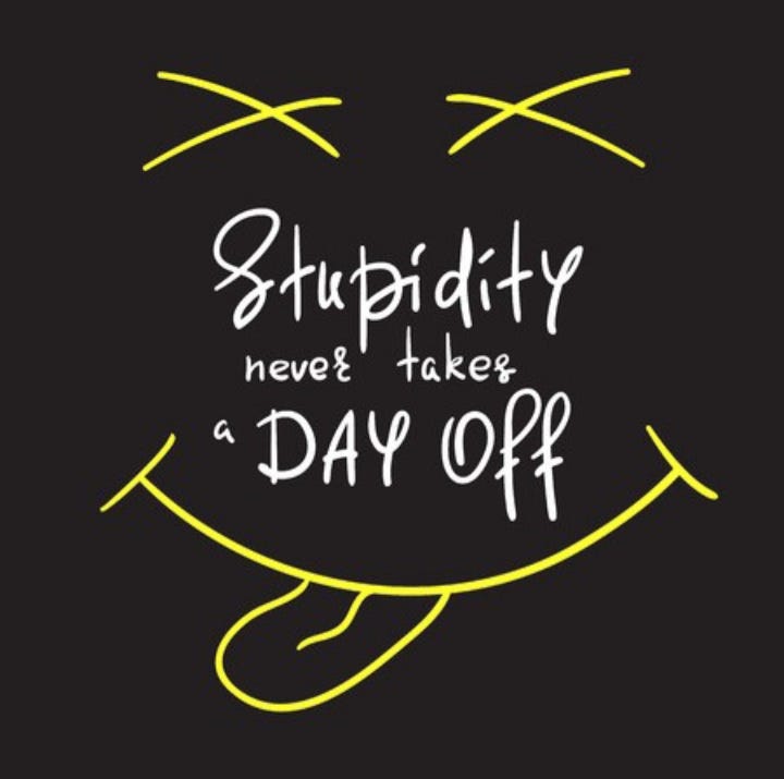 You Are And Will Always Be A Stupid Person By Raphael Paul Live