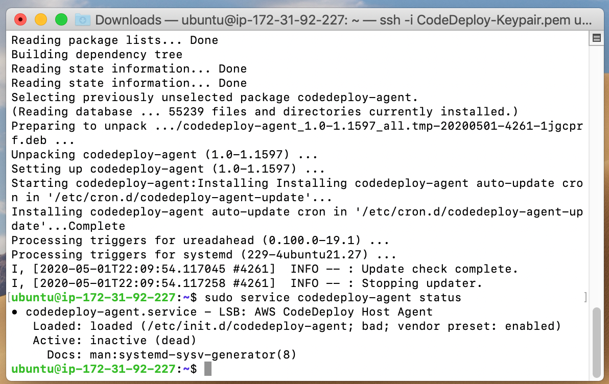 Continuous Deployment Pipeline with Bitbucket-Pipelines to AWS EC2 using AWS Code Deploy | by ...