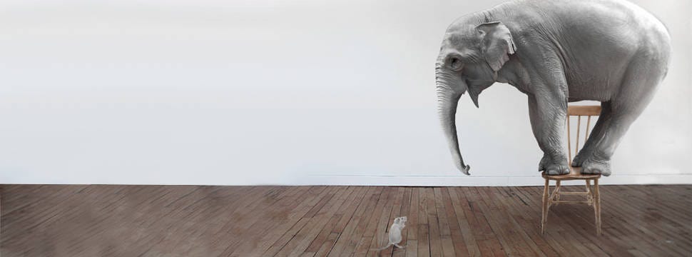 How to Kick Fear in the Balls. No matter what you’re afraid… | by Marta ...