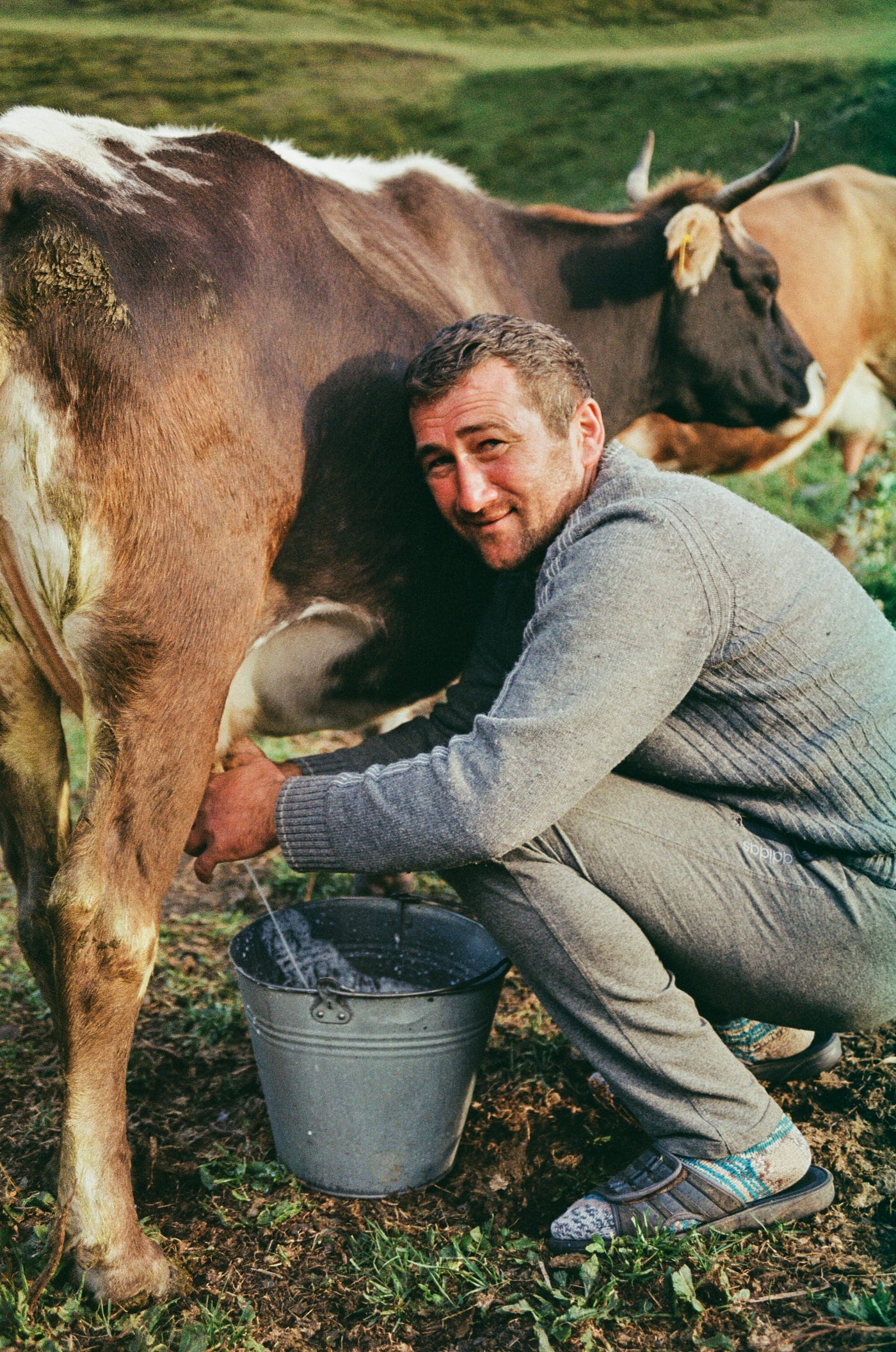 Lessons from Tusheti’s Shepherds. Arina Abbott | by Mad Agriculture ...