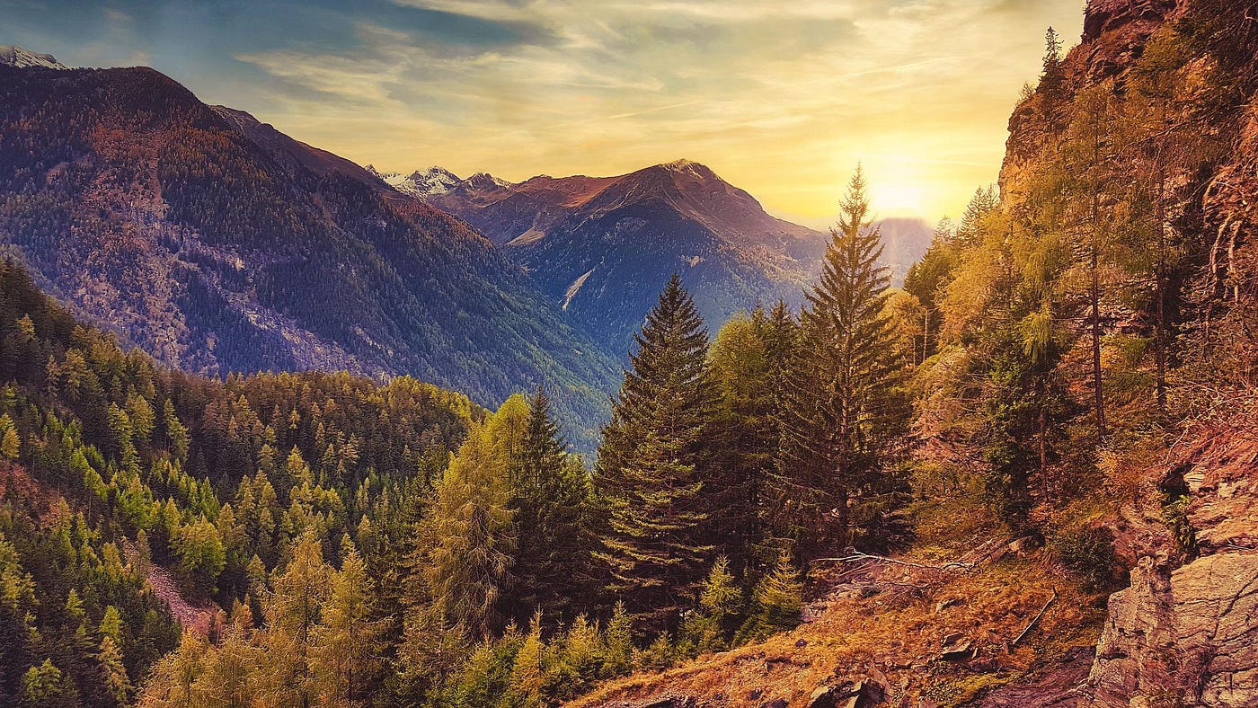 5 reasons to visit Tyrol in summer | by Dark Energy Articles | Medium