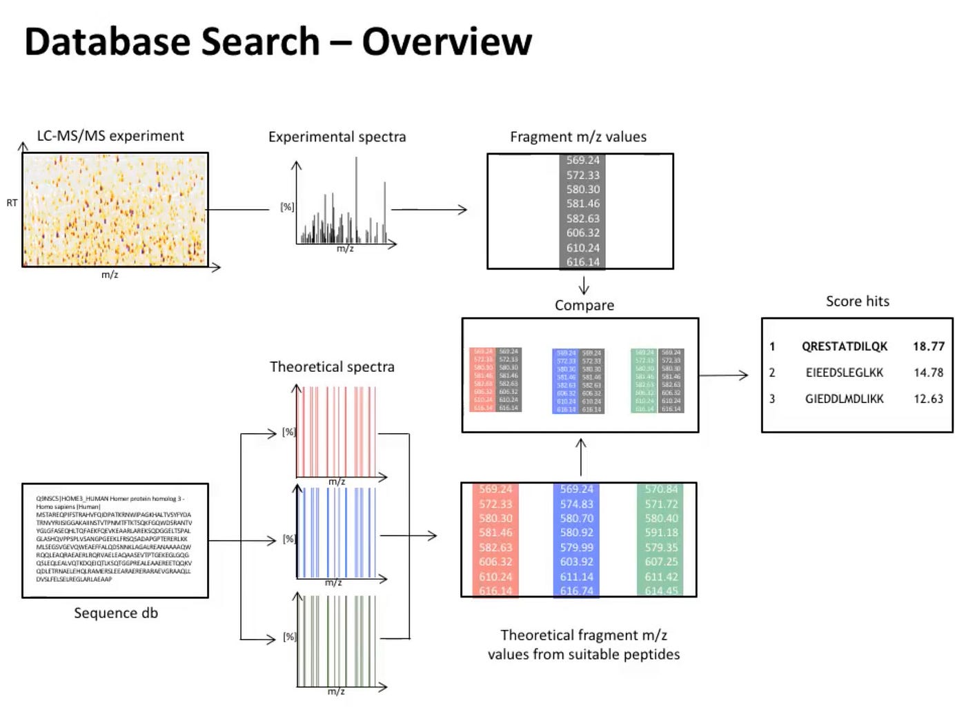 A Gentle Introduction to Deep Learning in Proteomics | by Haley Feng ...